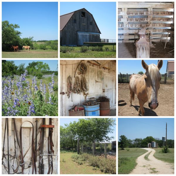 Dutch Branch Ranch - Sid Richardson Museum - Fort Worth, Texas