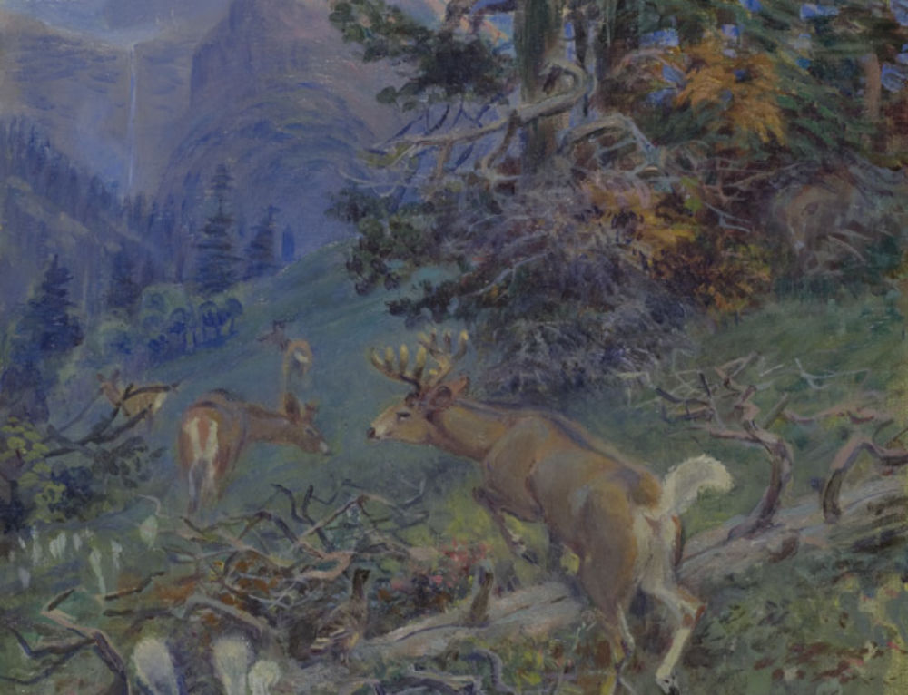 Nancy Russell: Wife & Business Manager - Sid Richardson Museum - Fort ...