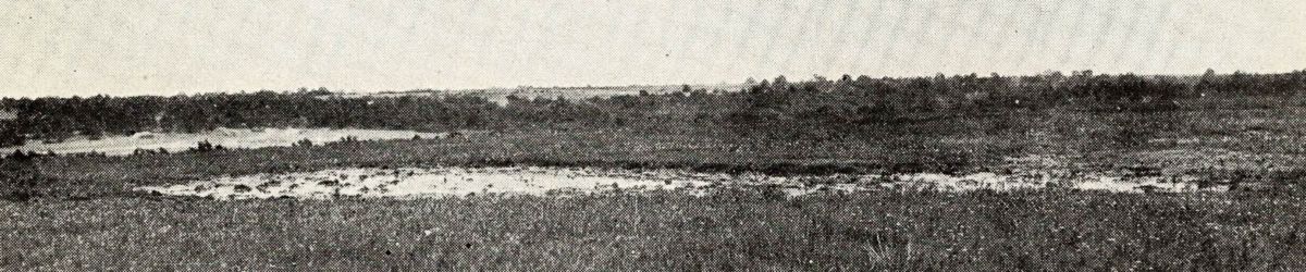 The Symphony of Native America - The Buffalo Hunt