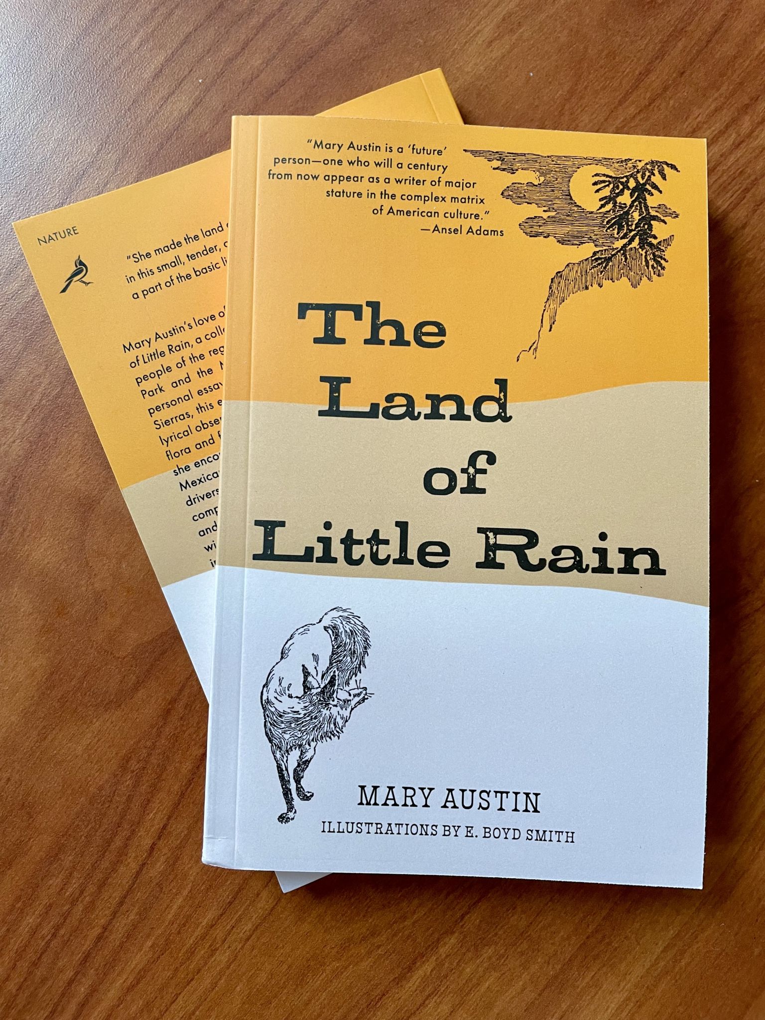 Tall Tales | The Land of Little Rain - Sid Richardson Museum - Fort ...